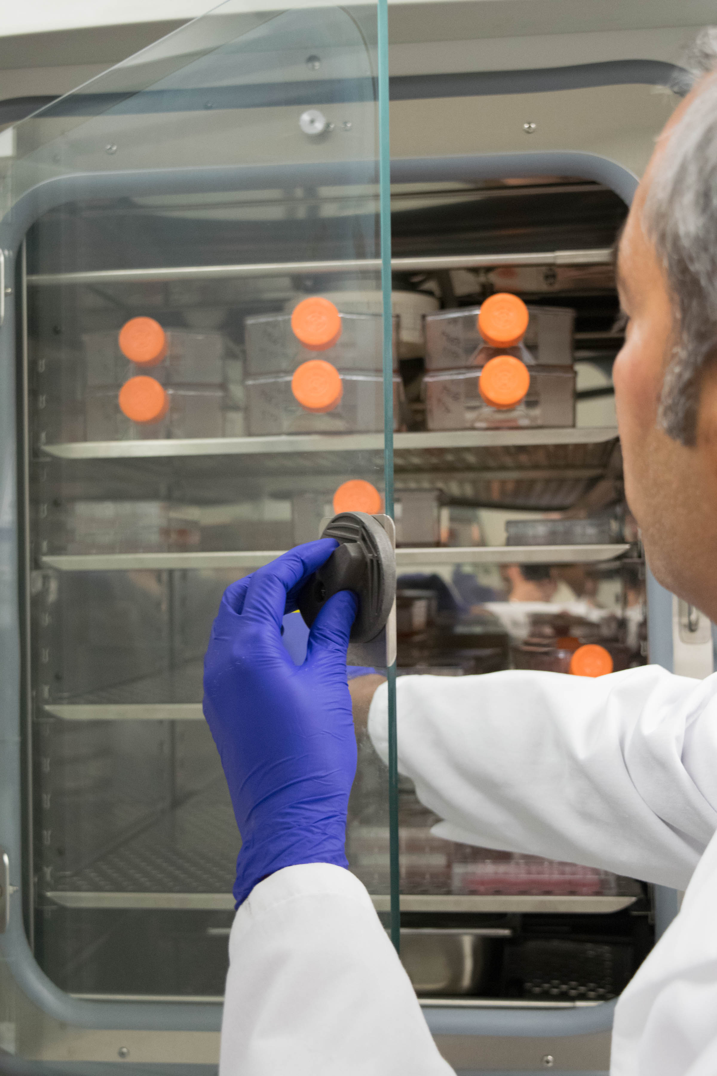 TUH receives $11.6 million to repair hearts | The Temple News