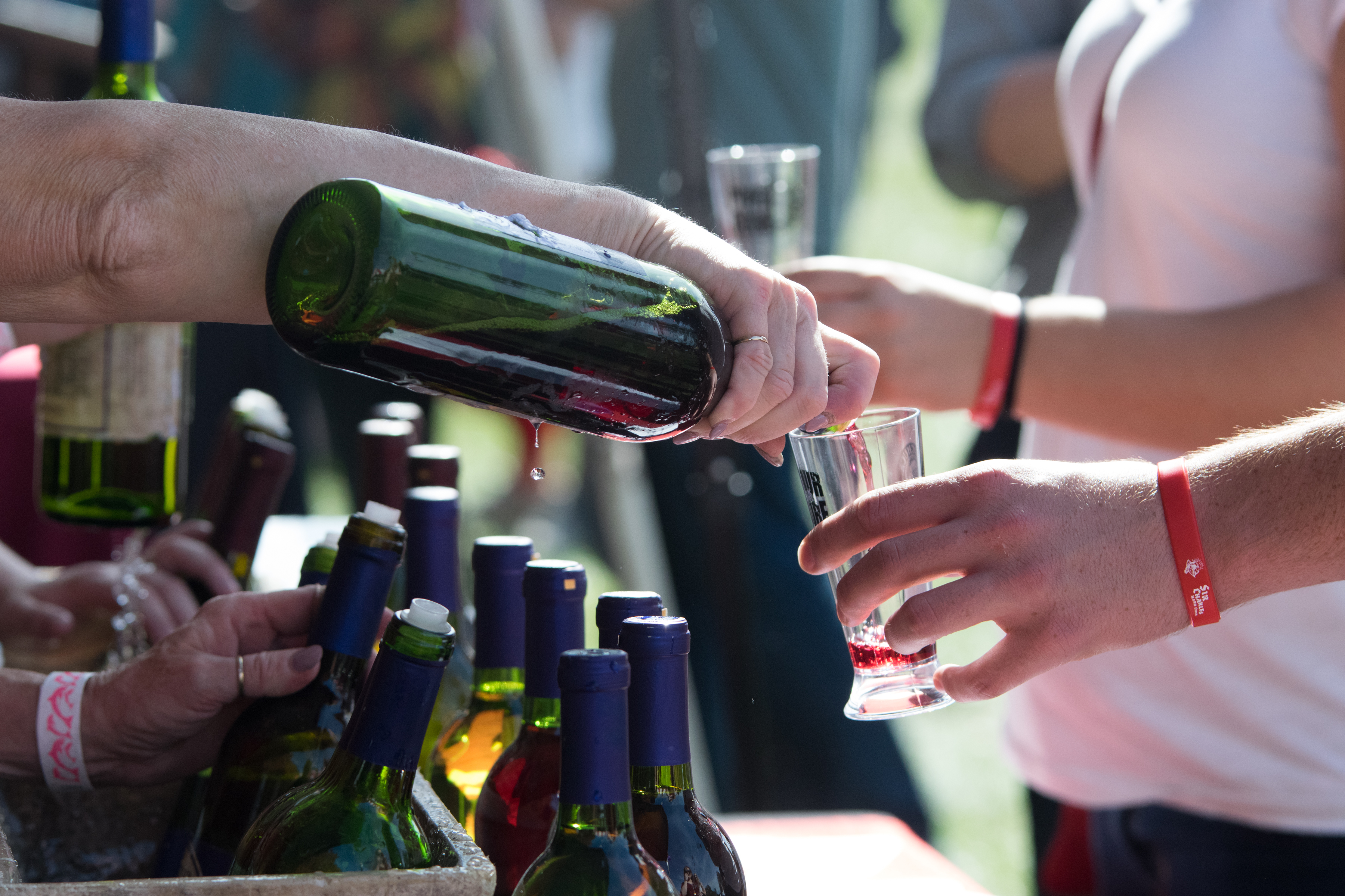 Live in Philly: Navy Yard hosts hard apple cider festival | The Temple News