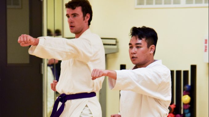 Junior to travel for karate competition in Los Angeles | The Temple News