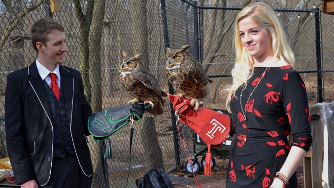 Stella the Owl marries long-time mate | The Temple News