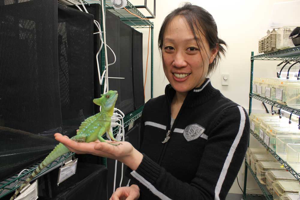 People You Should Know: Tonia Hsieh | The Temple News