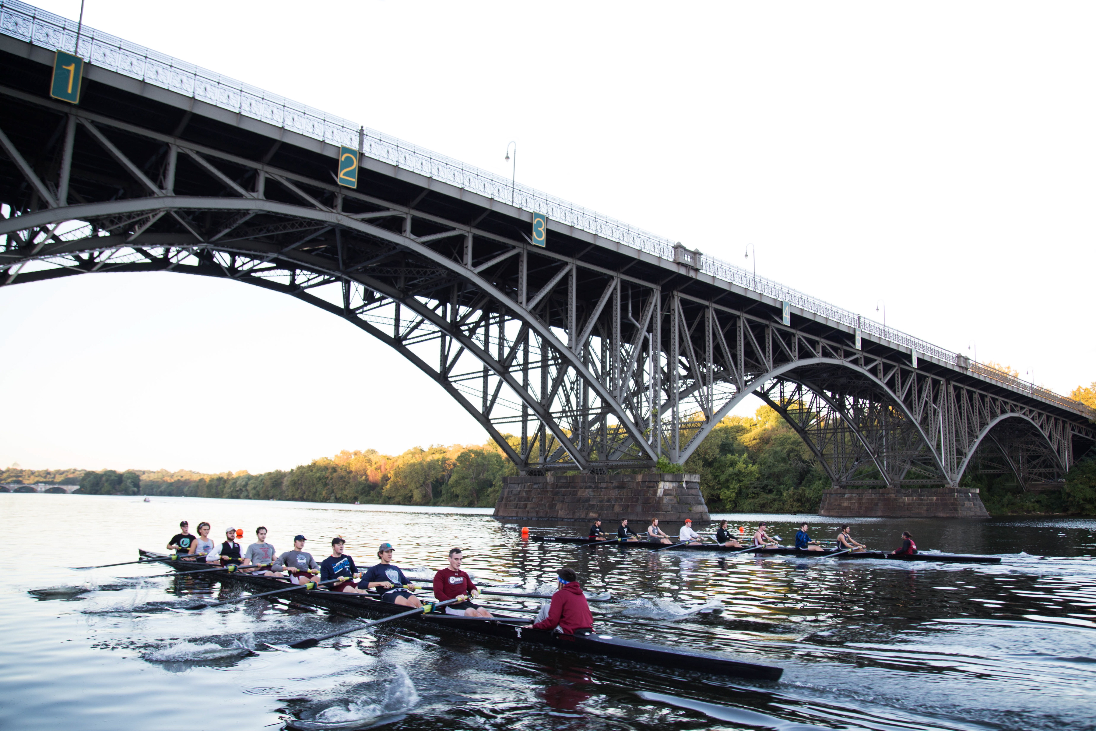Temple Crew experiences growing pains, but is built for the future ...