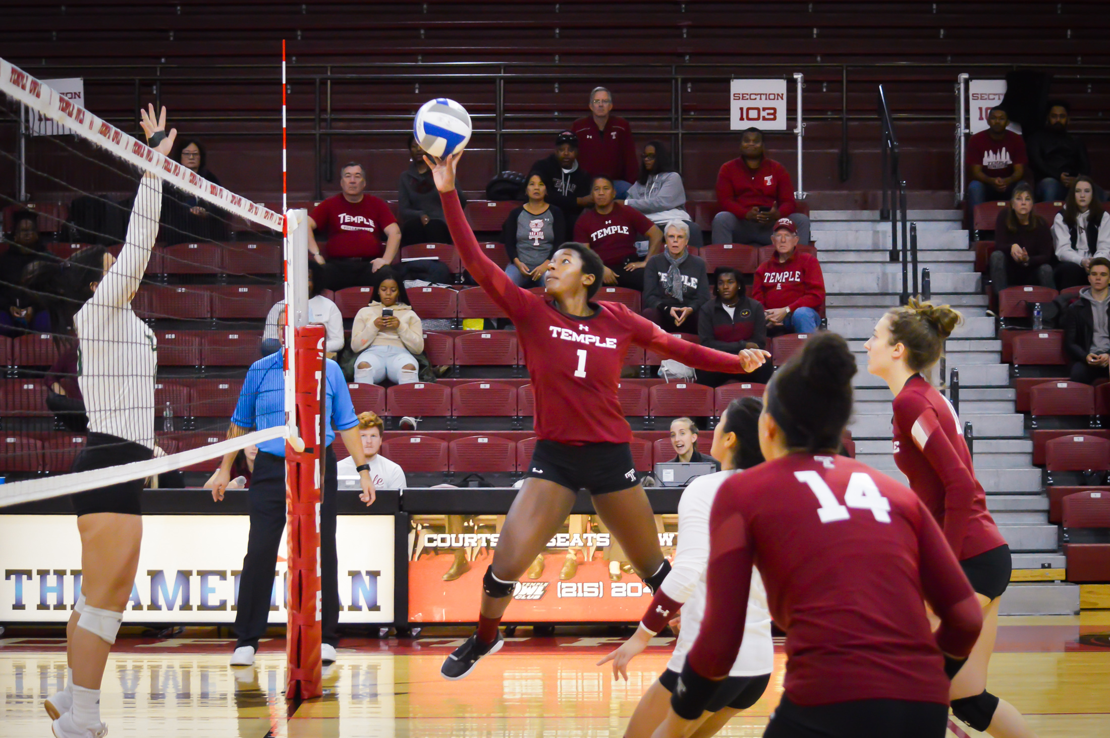 Temple volleyball looks toward hopes of spring championship | The ...