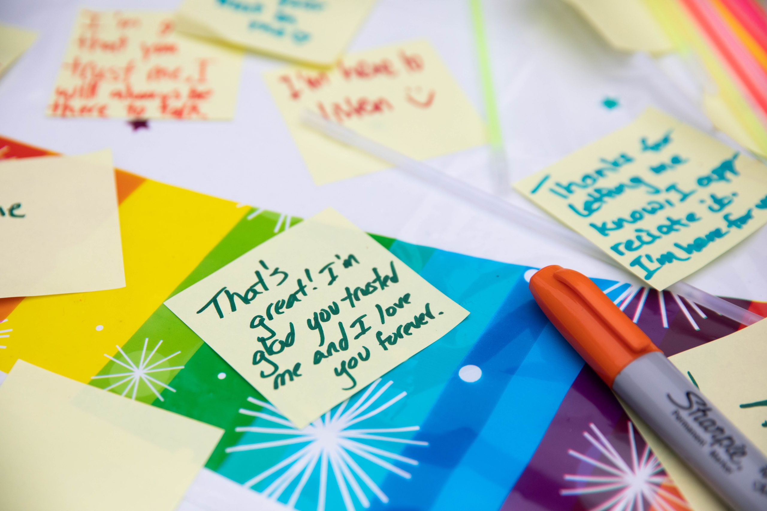 Temple students, faculty celebrate National Coming Out Week | The ...