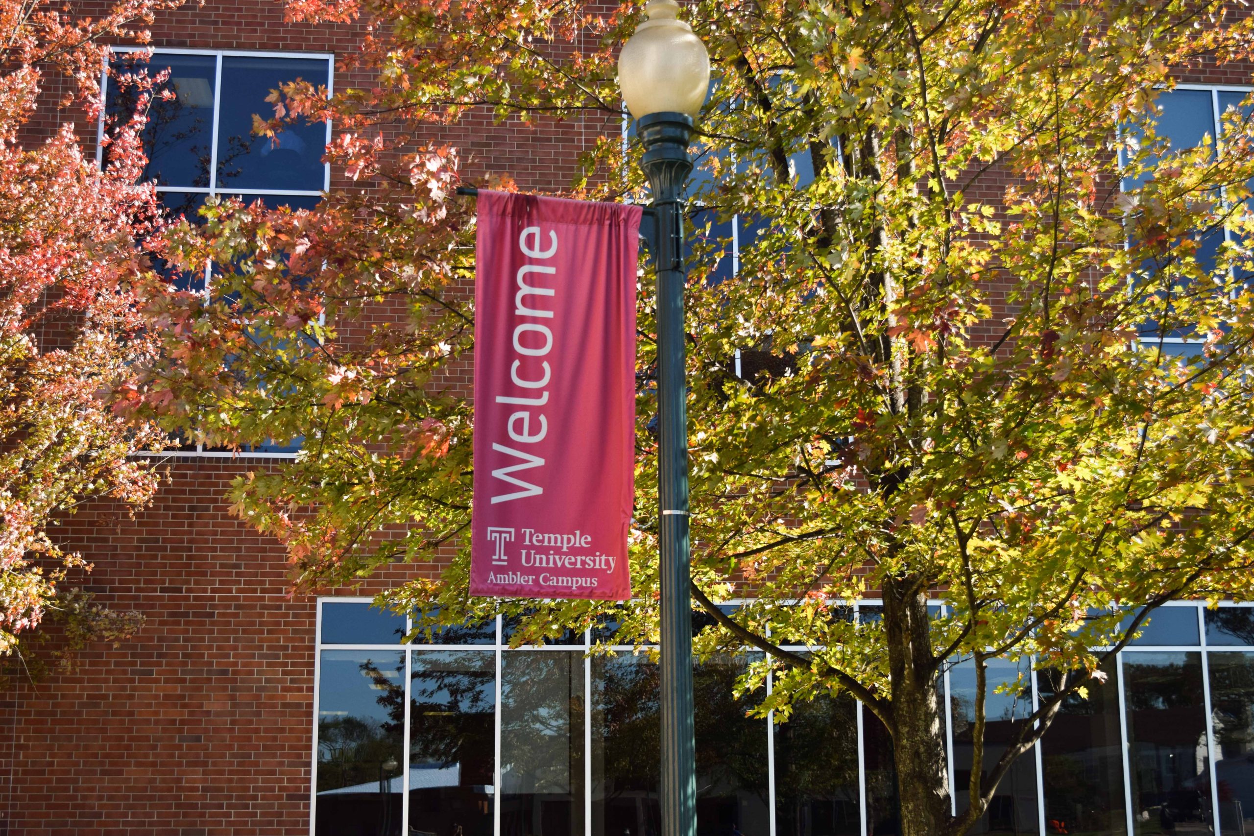 Temple Ambler Campus innovates courses, repairs campus | The Temple News