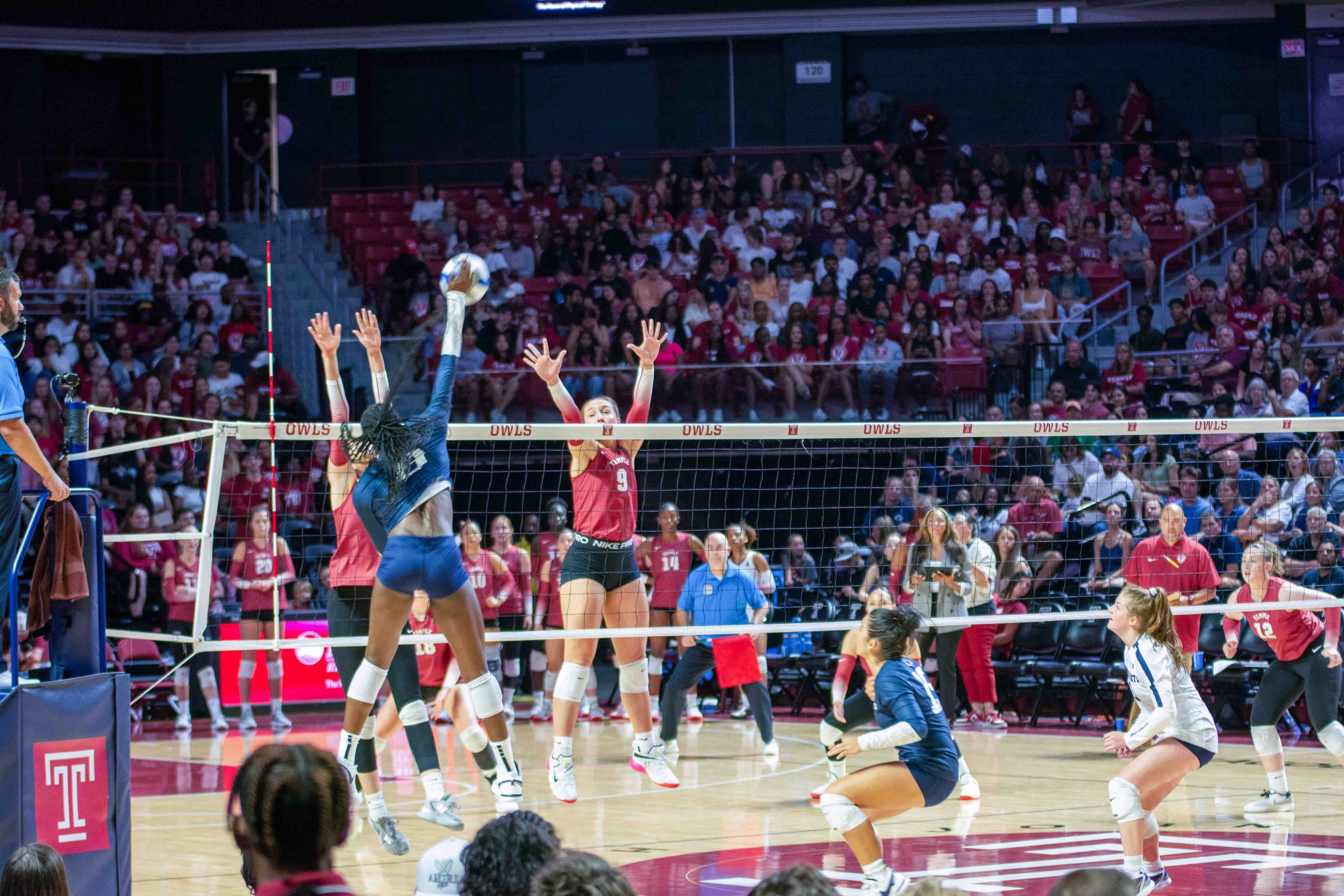 Temple Volleyball embraces new NCAA rule change | The Temple News
