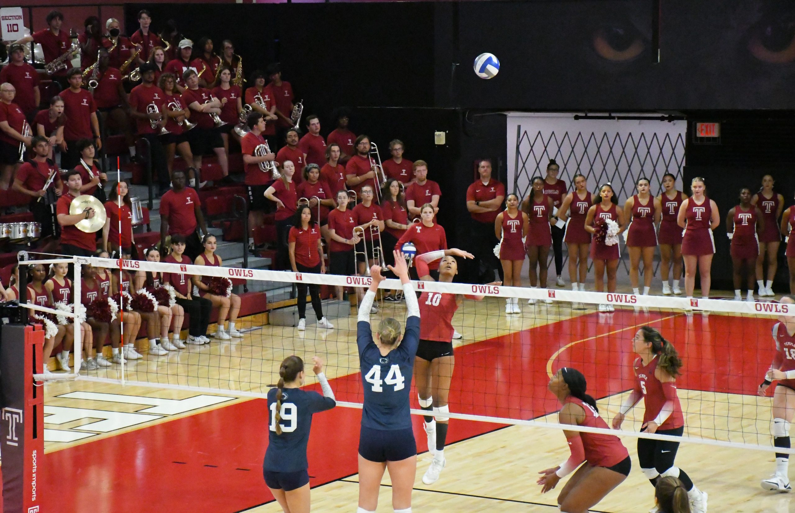 Temple overmatched by Tulsa in sweep | The Temple News