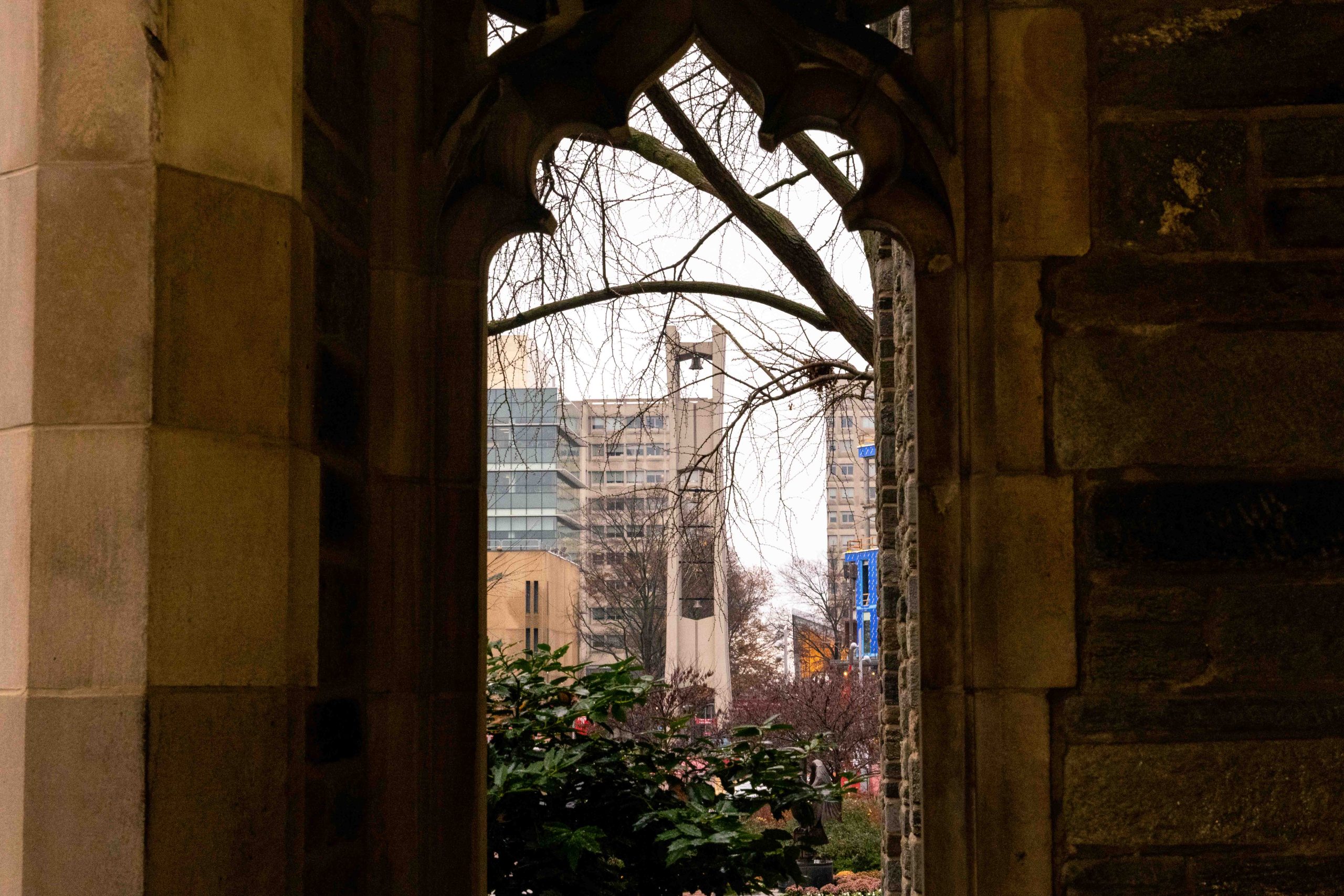 Temple student dies after sustaining critical injuries during weekend ...