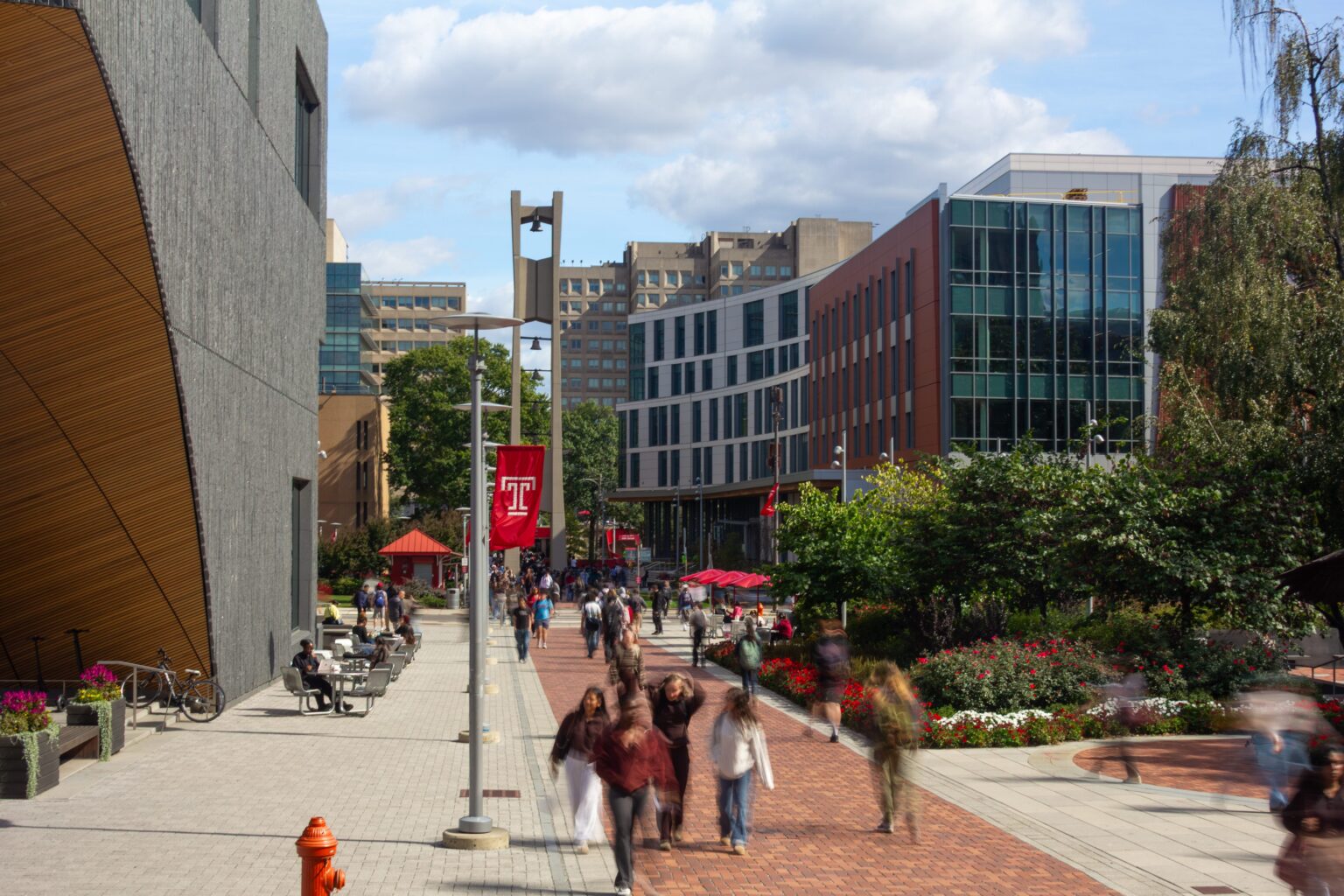 Temple launches academic advising app for students | The Temple News