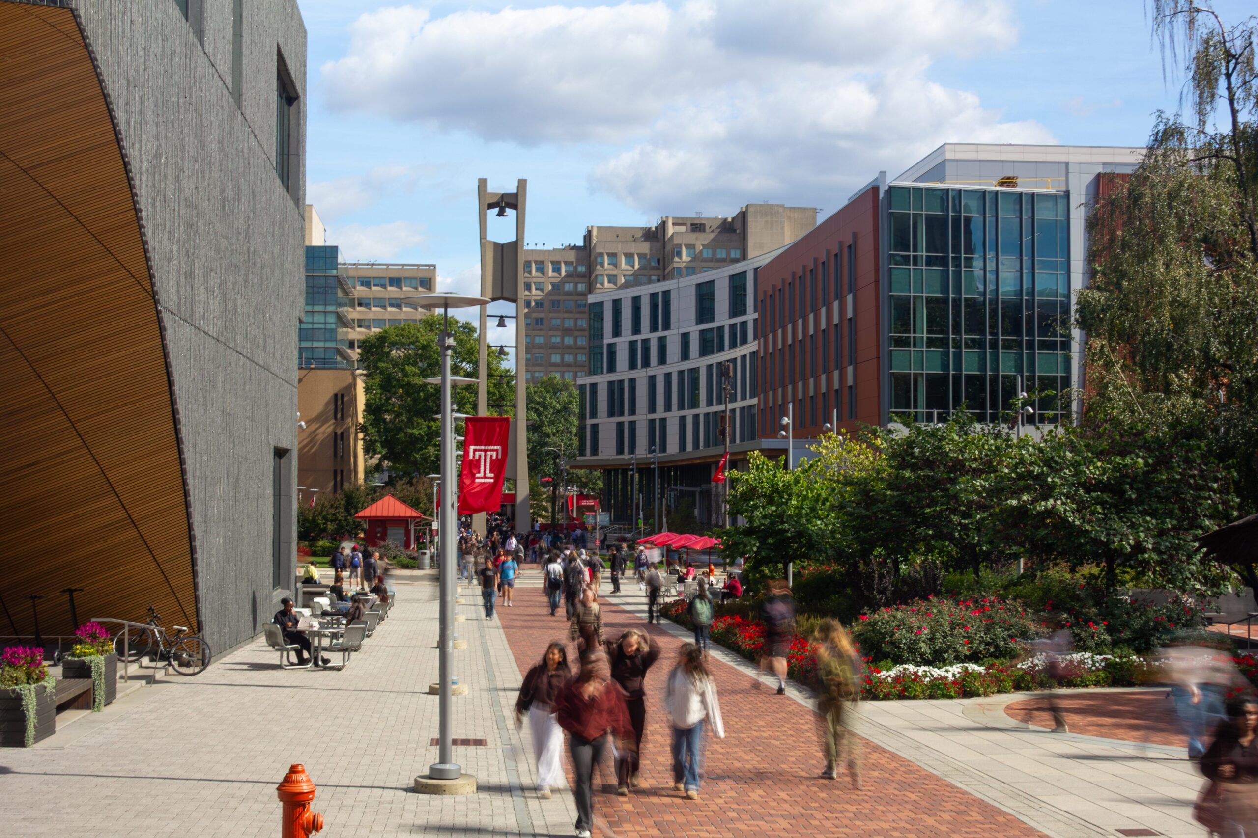 Temple launches academic advising app for students | The Temple News