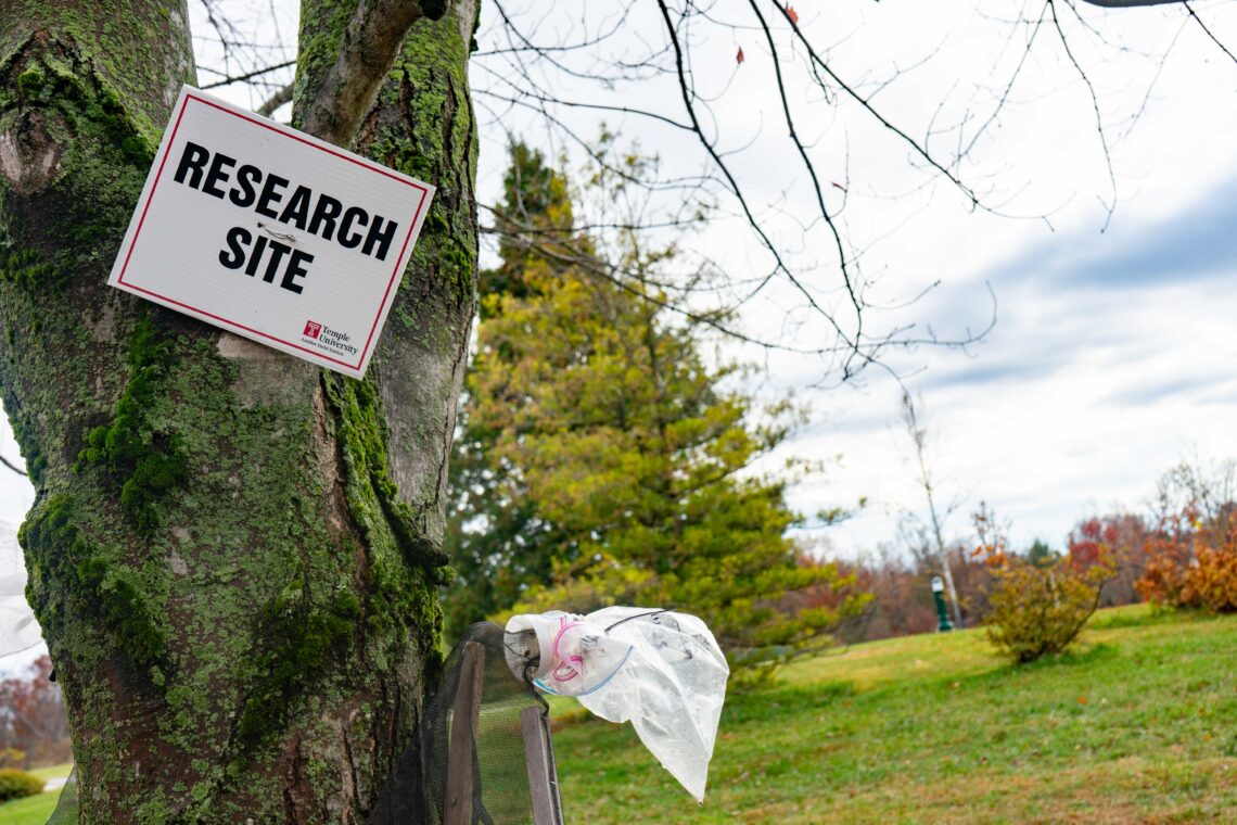 Temple explores options for Ambler Campus amid low enrollment | The ...
